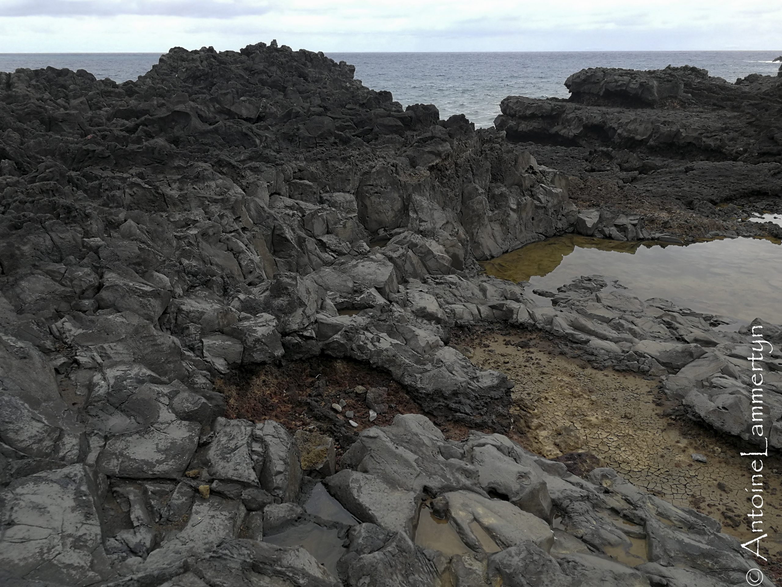 Madère: mythe des îles fortunées ou origine volcanique ? - La Maison ...